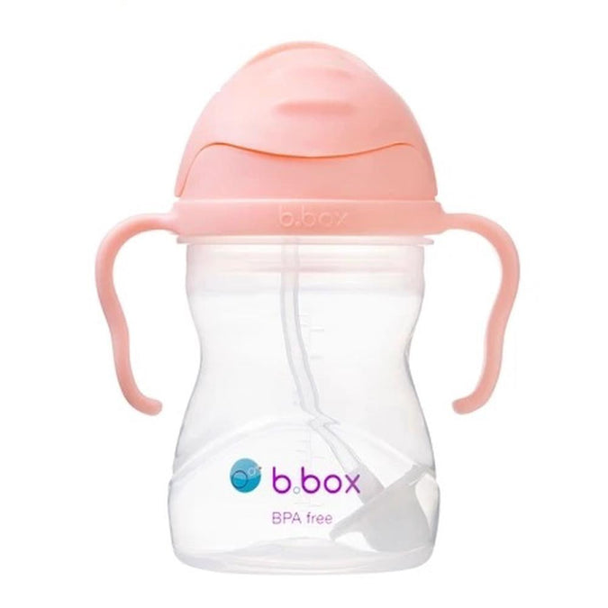 B.Box Sippy Cup 240ml - Tutti Frutti 6m+ – Regents Park Pharmacy ONLINE